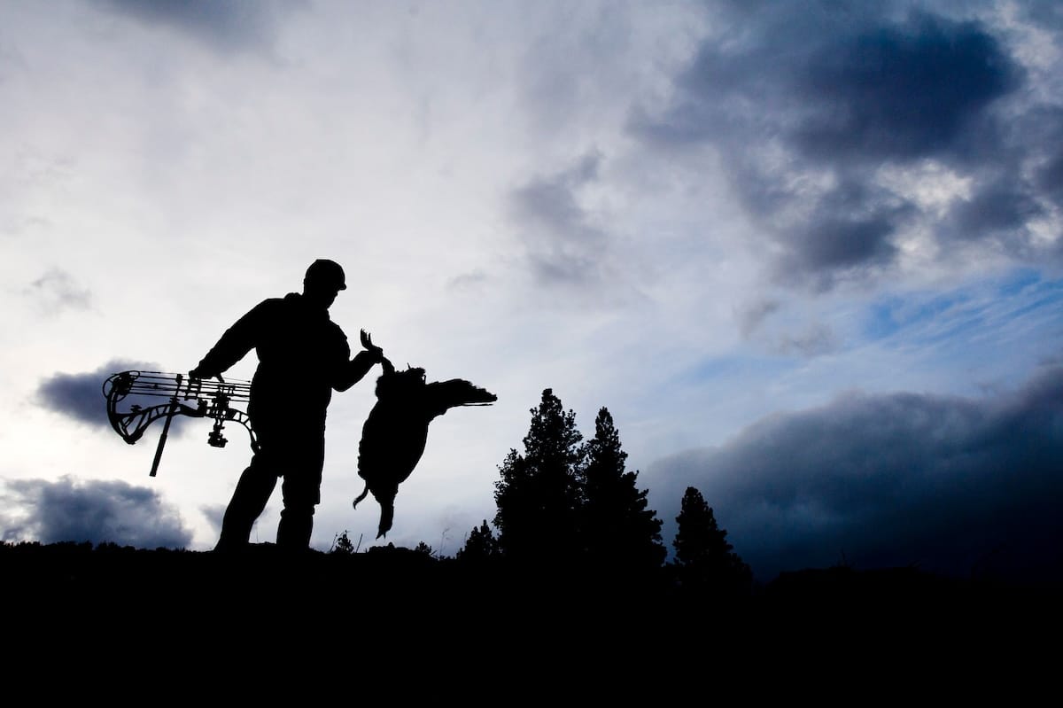 The 2025 Spring Turkey Season Forecast - HuntStand