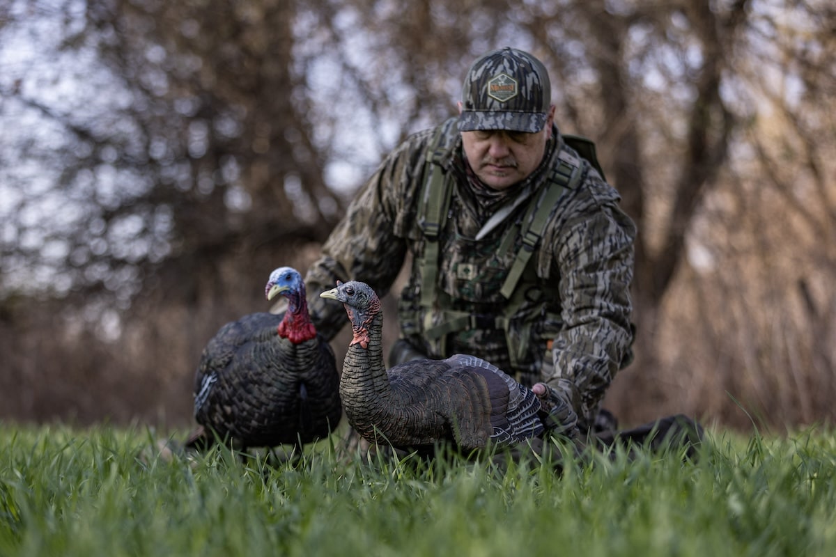 The 2025 Spring Turkey Season Forecast - HuntStand