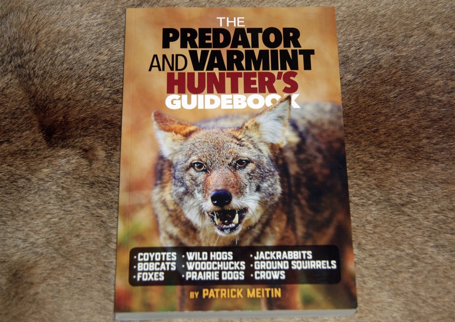 6 Late-Season Coyote Hunting Tips - HuntStand