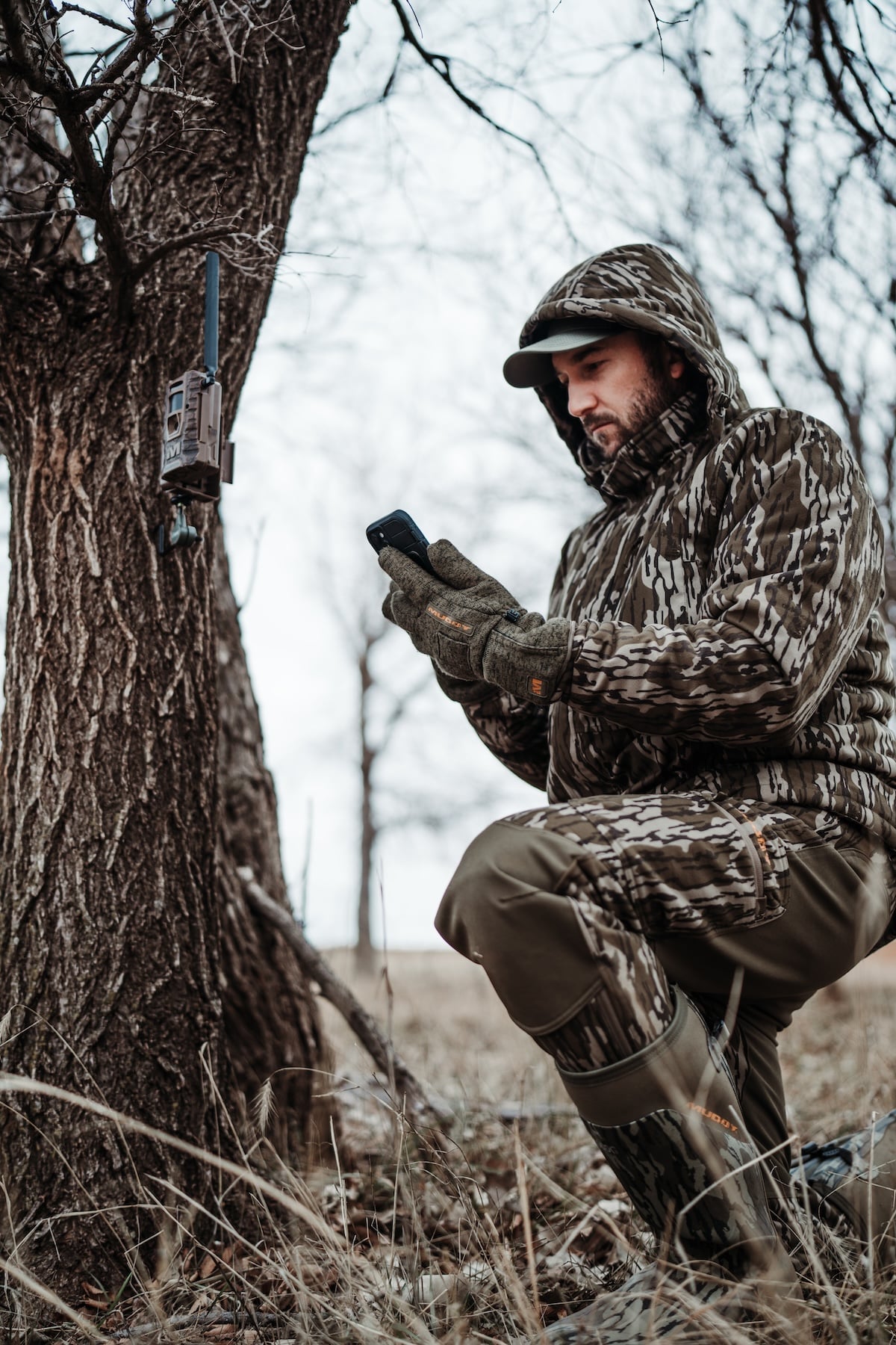 How to Hunt Eastern Wild Turkeys - HuntStand