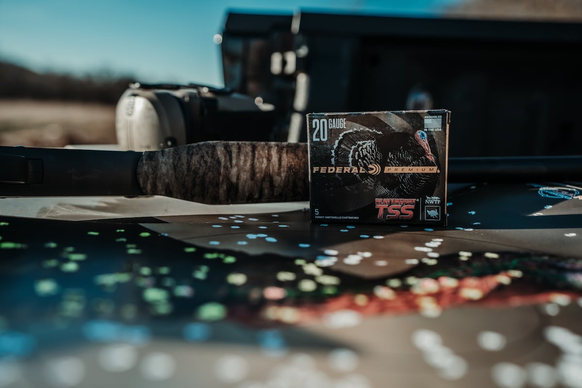 How to Hunt Eastern Wild Turkeys - HuntStand