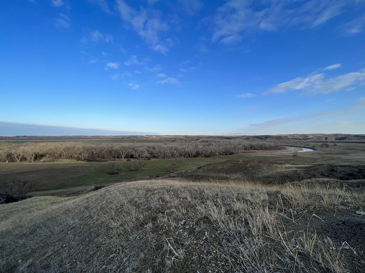 How to Hunt Midwestern Turkeys - HuntStand