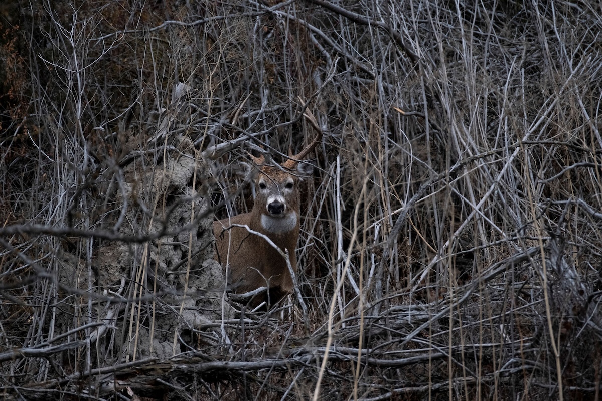 11 Overlooked and Unappreciated Traits of the Best Deer Hunters - HuntStand