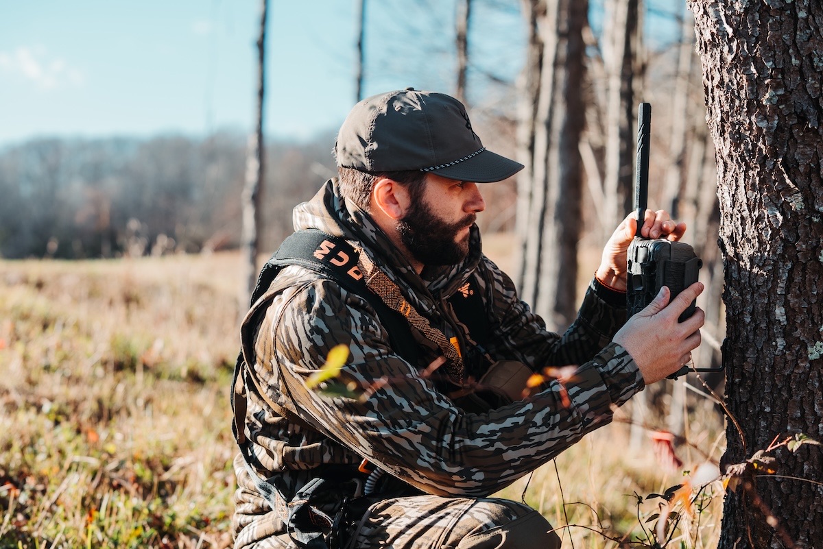 How to Conduct a Deer Population Survey