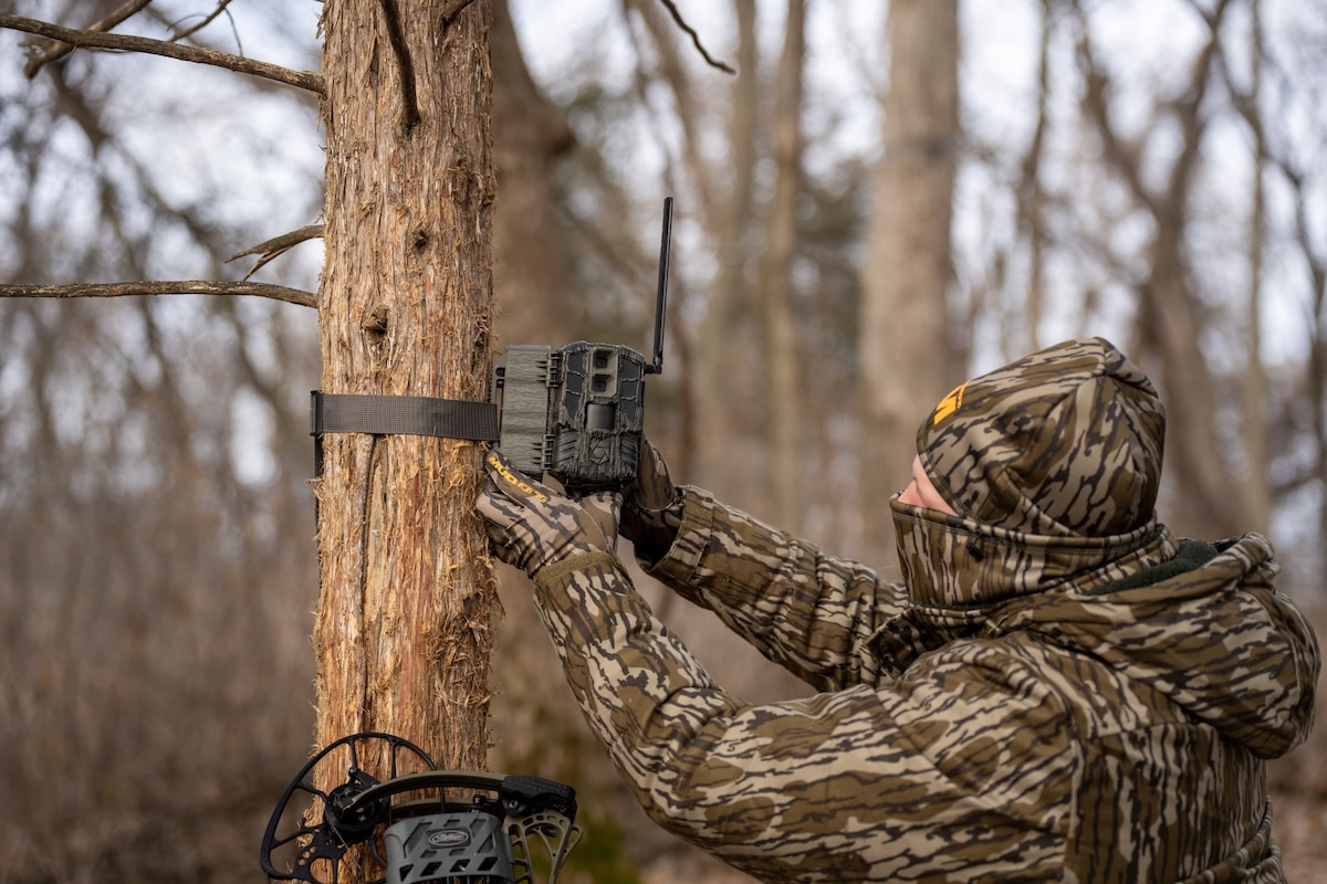 How Mature Bucks Move from A to B (and How HuntStand Visualizes ...