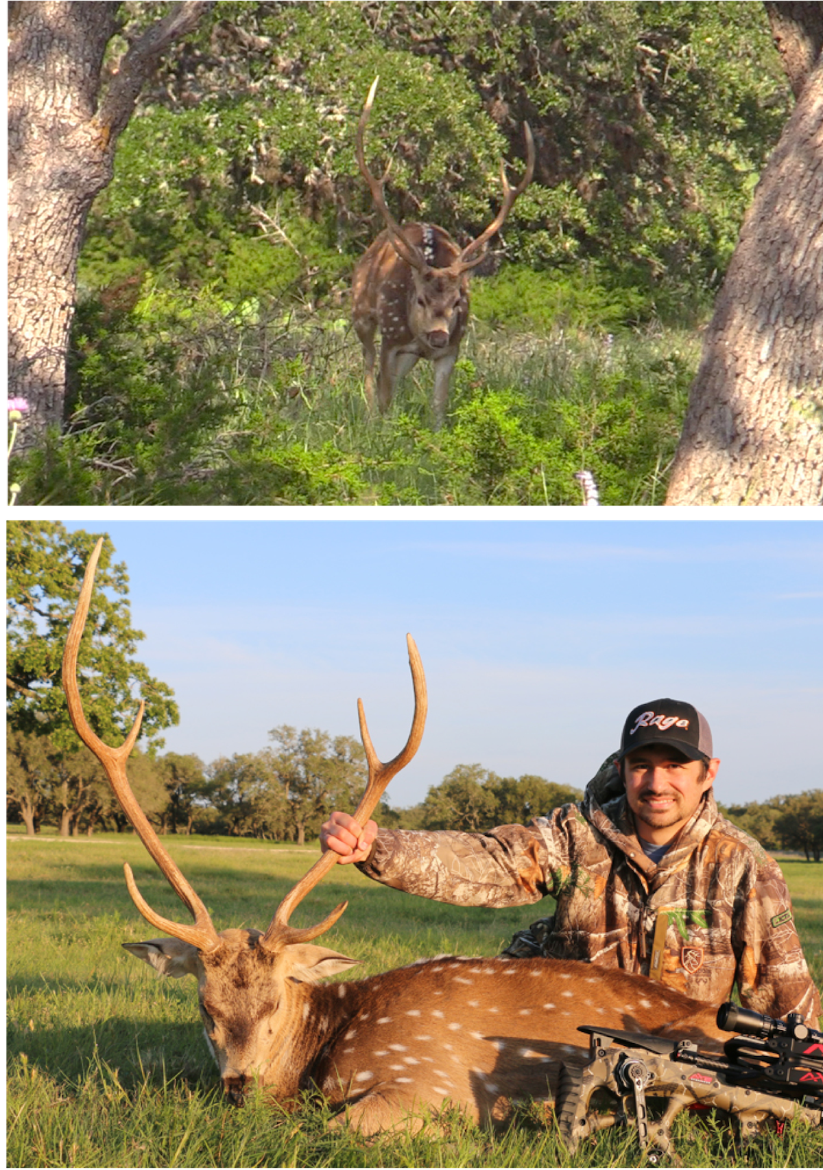 7 Deer Hunts in February or March You Should Schedule - HuntStand