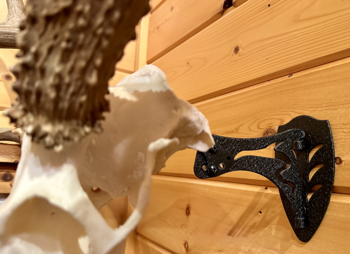 How to Do a European Mount - HuntStand